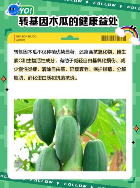 番木瓜的功效与作用_番木瓜怎么吃效果最好-第1张图片-山城妙识