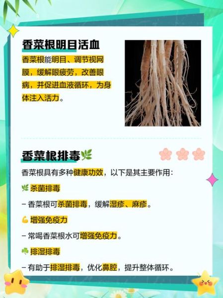 香菜根对男人的危害_男人吃香菜根会阳痿吗-第1张图片-山城妙识