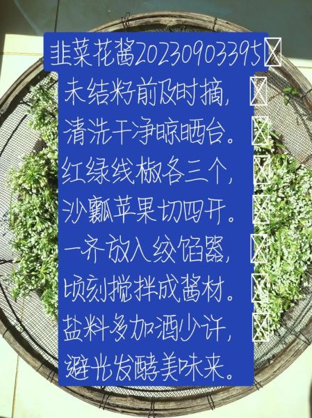 韭菜花结籽了还能做酱吗_韭菜花籽期制酱方法-第3张图片-山城妙识 韭菜花结籽了还能做酱吗_韭菜花籽期制酱方法-第3张图片-山城妙识