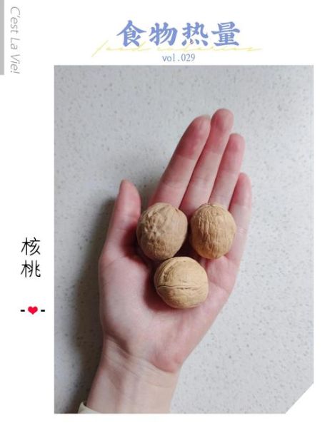 新鲜核桃的热量是多少_新鲜核桃减肥能吃吗-第3张图片-山城妙识 新鲜核桃的热量是多少_新鲜核桃减肥能吃吗-第3张图片-山城妙识