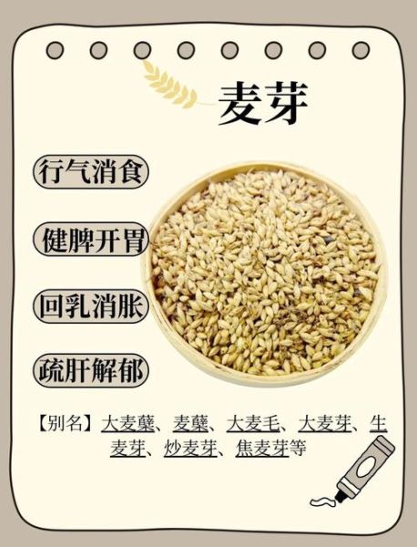 喝了三天麦芽水回奶了怎么办_麦芽水回奶后如何补救-第1张图片-山城妙识 喝了三天麦芽水回奶了怎么办_麦芽水回奶后如何补救-第1张图片-山城妙识