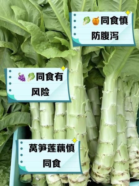 莴笋不能和什么一起吃_莴笋相克食物有哪些-第1张图片-山城妙识 莴笋不能和什么一起吃_莴笋相克食物有哪些-第1张图片-山城妙识