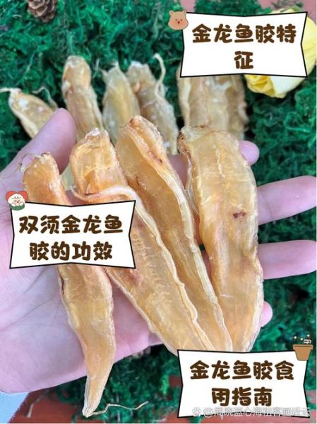 金龙鱼胶的功效与作用_金龙鱼胶怎么吃最好-第3张图片-山城妙识 金龙鱼胶的功效与作用_金龙鱼胶怎么吃最好-第3张图片-山城妙识