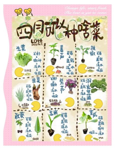 一年四季可以种什么蔬菜_适合阳台的四季蔬菜-第1张图片-山城妙识 一年四季可以种什么蔬菜_适合阳台的四季蔬菜-第1张图片-山城妙识
