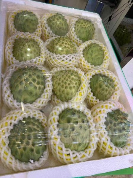 台湾释迦果怎么吃_台湾释迦果价格一斤多少钱-第2张图片-山城妙识