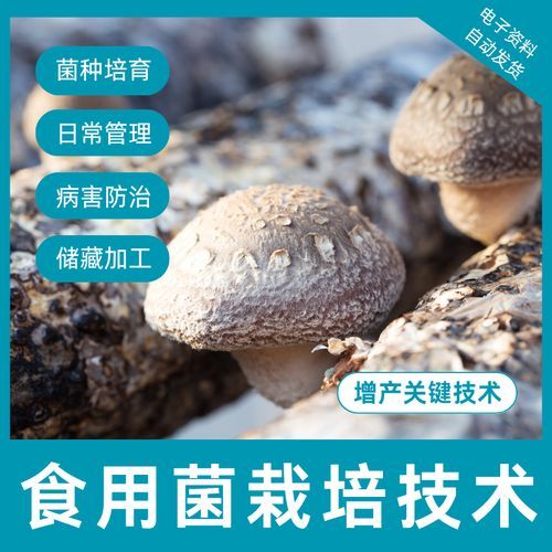 香菇种植技术_香菇怎么种植-第1张图片-山城妙识