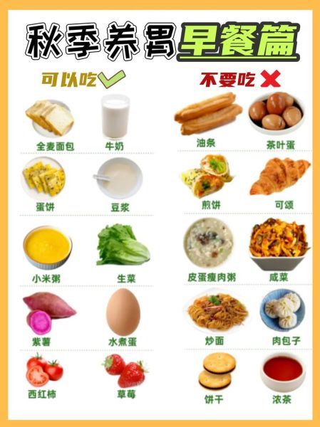 吃什么养胃_怎么养胃最快-第3张图片-山城妙识