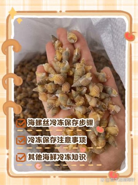 海螺丝怎么清洗_海螺丝怎么吃才安全-第3张图片-山城妙识 海螺丝怎么清洗_海螺丝怎么吃才安全-第3张图片-山城妙识
