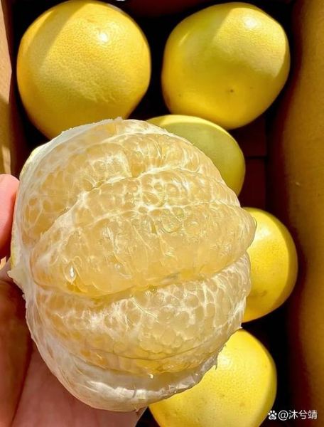 葡萄柚多少钱一斤_哪里买便宜-第2张图片-山城妙识