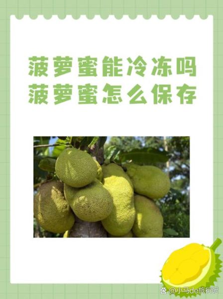 菠萝蜜什么人不能吃_孕妇能吃吗-第2张图片-山城妙识