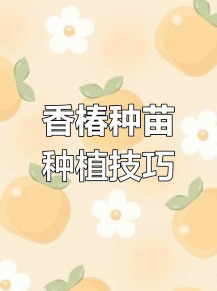 香椿种子怎么育苗_香椿种子育苗多久发芽-第3张图片-山城妙识 香椿种子怎么育苗_香椿种子育苗多久发芽-第3张图片-山城妙识