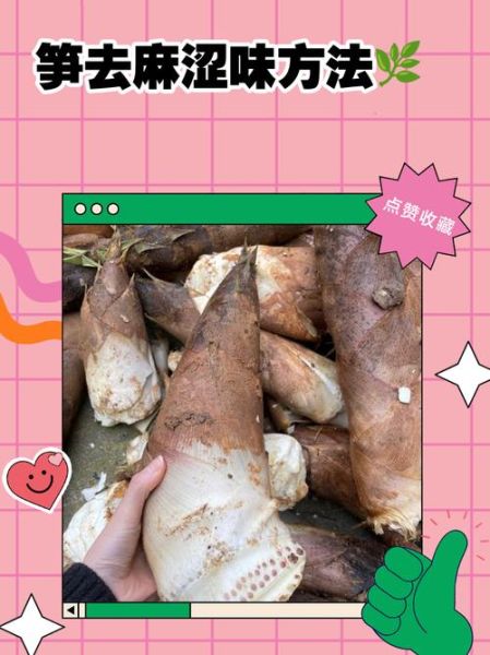 鲜笋怎么处理不涩_鲜笋去涩最快的方法-第2张图片-山城妙识