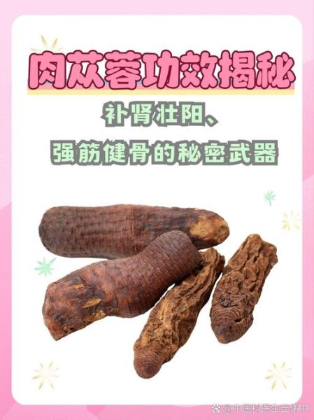 肉苁蓉图片长什么样_肉苁蓉的功效与作用有哪些-第1张图片-山城妙识 肉苁蓉图片长什么样_肉苁蓉的功效与作用有哪些-第1张图片-山城妙识