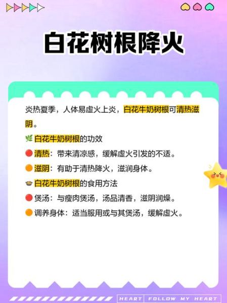 牛奶树根煲汤做法_牛奶树根煲汤功效-第1张图片-山城妙识 牛奶树根煲汤做法_牛奶树根煲汤功效-第1张图片-山城妙识