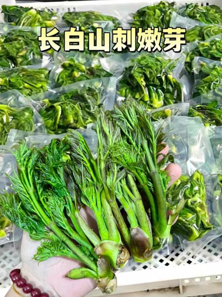 东北野菜有哪些_东北野菜图片及名称大全-第1张图片-山城妙识 东北野菜有哪些_东北野菜图片及名称大全-第1张图片-山城妙识
