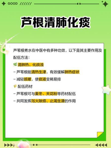 芦苇根的功效与作用及禁忌_芦苇根泡水喝的副作用-第1张图片-山城妙识