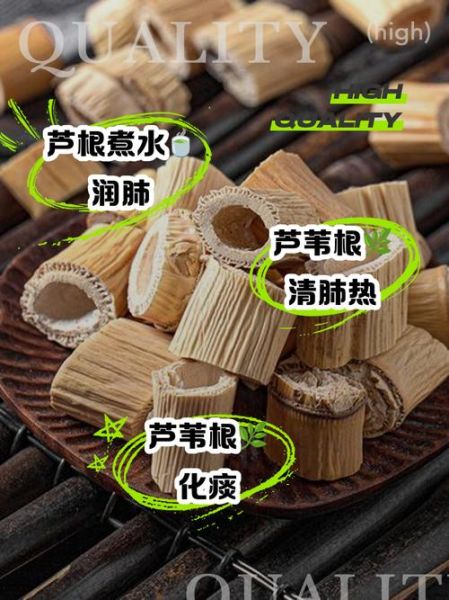 芦苇根的功效与作用及禁忌_芦苇根泡水喝的副作用-第2张图片-山城妙识