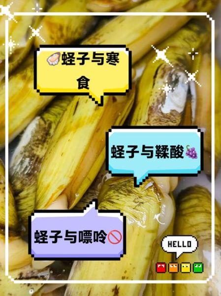 蛏子营养价值高吗_蛏子不能和什么一起吃-第1张图片-山城妙识 蛏子营养价值高吗_蛏子不能和什么一起吃-第1张图片-山城妙识