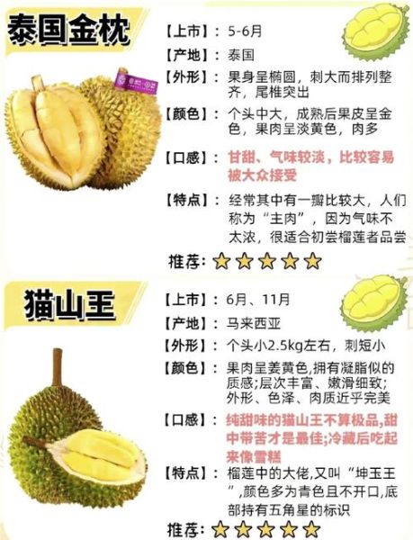 榴莲品种有哪些_泰国金枕和猫山王区别-第1张图片-山城妙识
