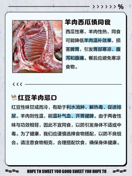 羊肉不能和什么一起吃_十大禁忌-第3张图片-山城妙识 羊肉不能和什么一起吃_十大禁忌-第3张图片-山城妙识