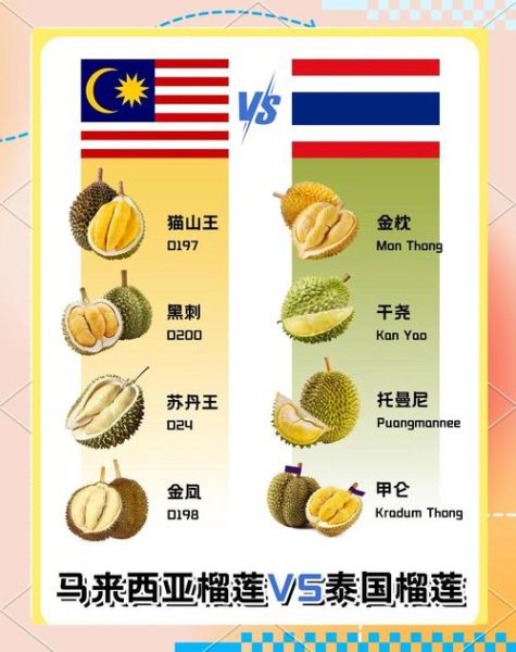 榴莲品种有哪些_泰国金枕和猫山王区别-第2张图片-山城妙识