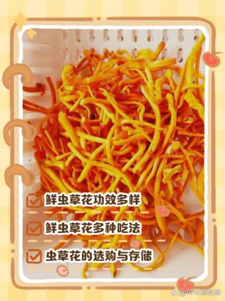 虫草花怎么吃最好_虫草花煲汤还是泡水-第1张图片-山城妙识 虫草花怎么吃最好_虫草花煲汤还是泡水-第1张图片-山城妙识