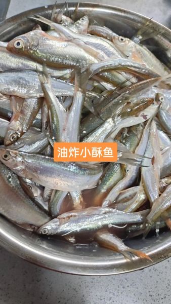 香酥炸鱼怎么做_香酥炸鱼用什么鱼最好-第2张图片-山城妙识 香酥炸鱼怎么做_香酥炸鱼用什么鱼最好-第2张图片-山城妙识