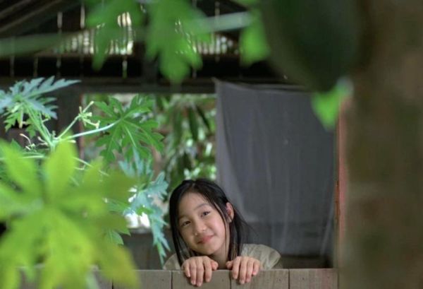 青木瓜之味剧情解析_越南电影情感隐喻-第2张图片-山城妙识 青木瓜之味剧情解析_越南电影情感隐喻-第2张图片-山城妙识