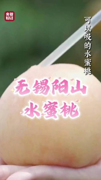 无锡阳山水蜜桃多少钱一斤_正宗阳山水蜜桃价格表-第2张图片-山城妙识 无锡阳山水蜜桃多少钱一斤_正宗阳山水蜜桃价格表-第2张图片-山城妙识