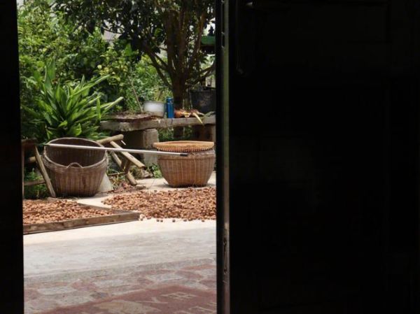 龙眼肉怎么晒_龙眼肉晒干需要几天-第3张图片-山城妙识 龙眼肉怎么晒_龙眼肉晒干需要几天-第3张图片-山城妙识