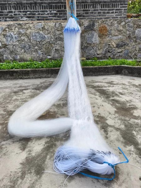 乌鱼网是什么_乌鱼网怎么赚钱-第1张图片-山城妙识