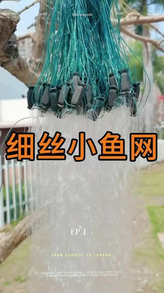 乌鱼网是什么_乌鱼网怎么赚钱-第2张图片-山城妙识