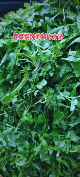 荠菜包饺子要焯水吗_荠菜饺子焯水好处-第1张图片-山城妙识