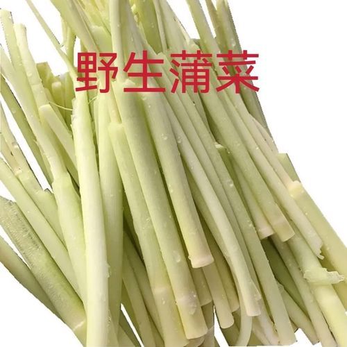 蒲菜的营养价值_蒲菜怎么吃最健康-第3张图片-山城妙识