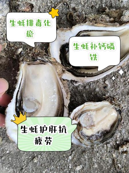 生蚝怎么吃_要去除内脏吗-第1张图片-山城妙识 生蚝怎么吃_要去除内脏吗-第1张图片-山城妙识