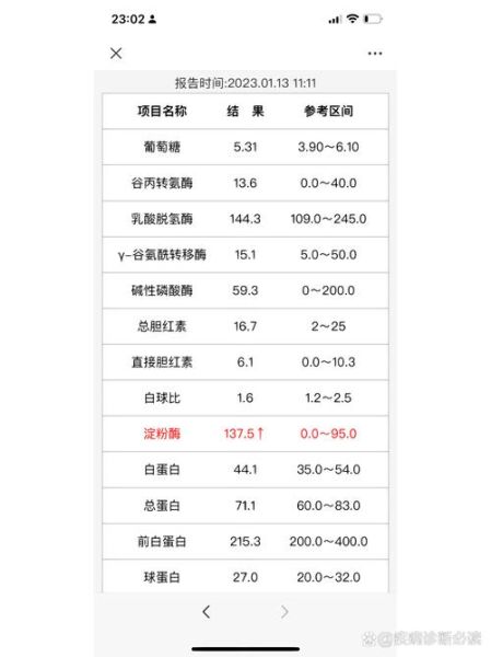 淀粉酶正常值是多少_淀粉酶偏高怎么办-第1张图片-山城妙识