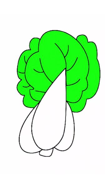 大白菜卡通图片怎么画_大白菜卡通图片素材哪里找-第1张图片-山城妙识