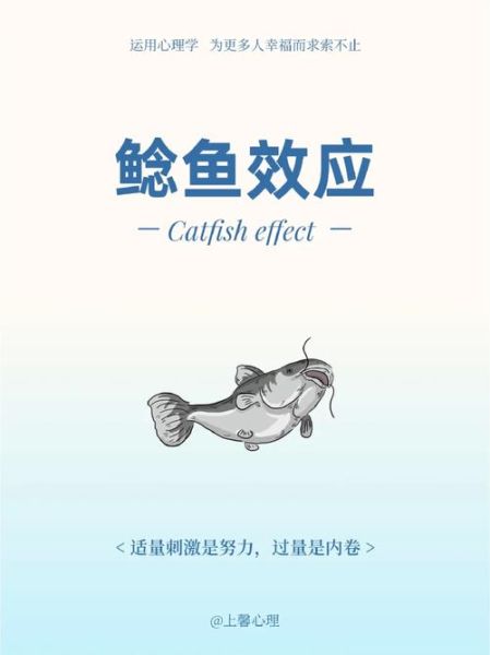 鲶鱼效应是什么_如何应用鲶鱼效应-第1张图片-山城妙识 鲶鱼效应是什么_如何应用鲶鱼效应-第1张图片-山城妙识