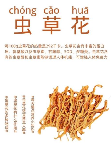 虫草花有什么副作用_虫草花禁忌人群-第2张图片-山城妙识 虫草花有什么副作用_虫草花禁忌人群-第2张图片-山城妙识