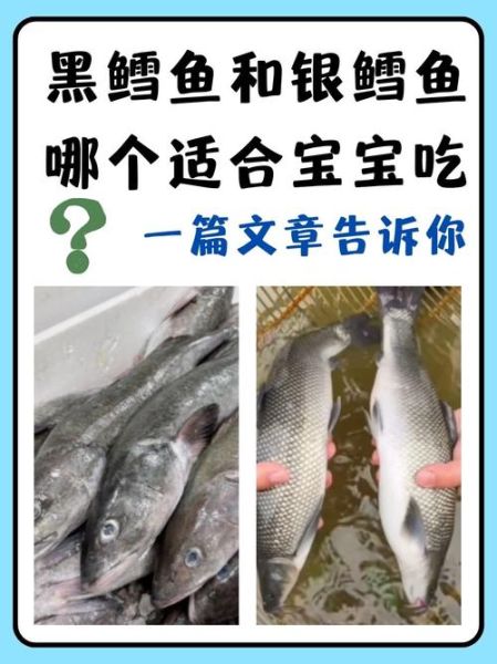 山姆黑鳕鱼和真鳕鱼区别_哪个更好吃-第2张图片-山城妙识