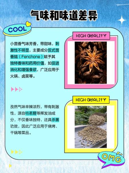 小茴香能代替孜然吗_味道差异有多大-第3张图片-山城妙识 小茴香能代替孜然吗_味道差异有多大-第3张图片-山城妙识