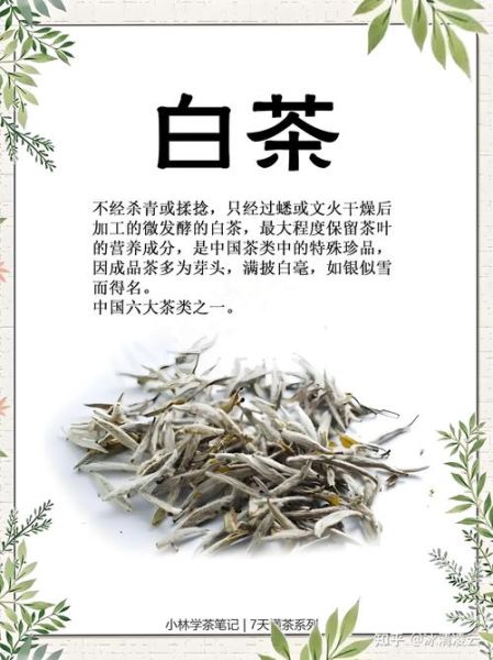 安吉白茶的功效与作用_适合什么人喝-第2张图片-山城妙识 安吉白茶的功效与作用_适合什么人喝-第2张图片-山城妙识
