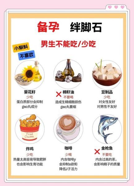 备孕前准备女性吃什么_孕前饮食注意事项-第1张图片-山城妙识 备孕前准备女性吃什么_孕前饮食注意事项-第1张图片-山城妙识