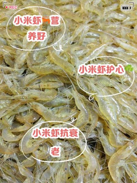 小虾米有什么功效_小虾米的作用与禁忌-第1张图片-山城妙识 小虾米有什么功效_小虾米的作用与禁忌-第1张图片-山城妙识