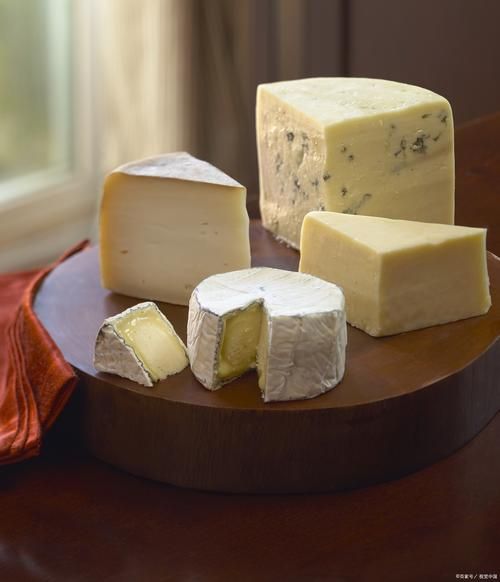 奶酪是什么做的_奶酪有哪些种类-第2张图片-山城妙识