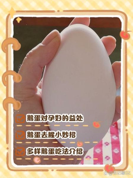 鹅蛋怎么吃去胎毒效果最好_孕妇吃鹅蛋去胎毒的正确方法-第2张图片-山城妙识 鹅蛋怎么吃去胎毒效果最好_孕妇吃鹅蛋去胎毒的正确方法-第2张图片-山城妙识