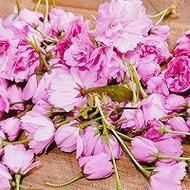 盐渍樱花怎么泡开_盐渍樱花泡多久能喝-第2张图片-山城妙识