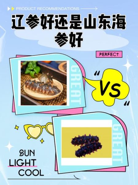 大连海参和山东海参哪个好_营养价值区别-第1张图片-山城妙识