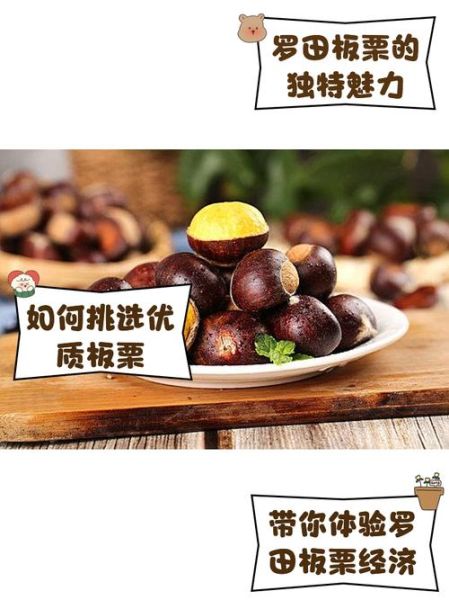 罗田板栗怎么挑选_罗田板栗多少钱一斤-第2张图片-山城妙识