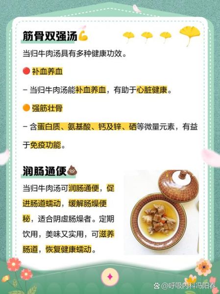 当归牛肉汤的做法_当归牛肉汤的功效与禁忌-第2张图片-山城妙识
